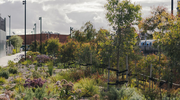 Hassell | Level Crossing Removal Project (LXRP)