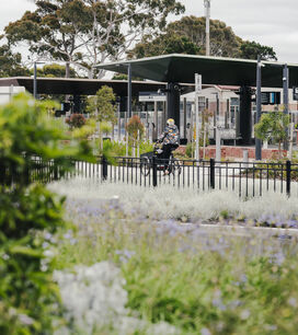 Hassell | Level Crossing Removal Project (LXRP)