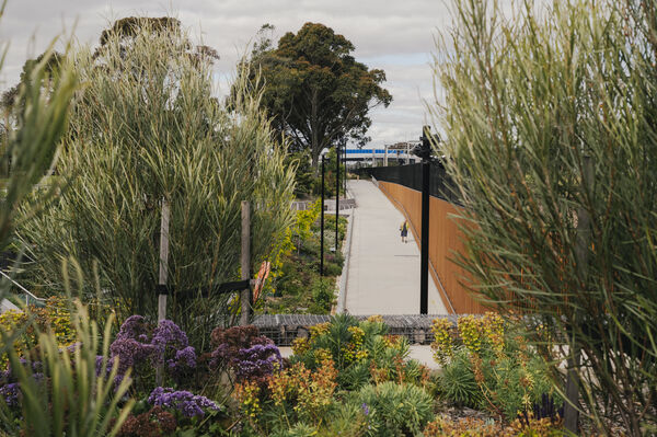 Hassell | Level Crossing Removal Project (LXRP)