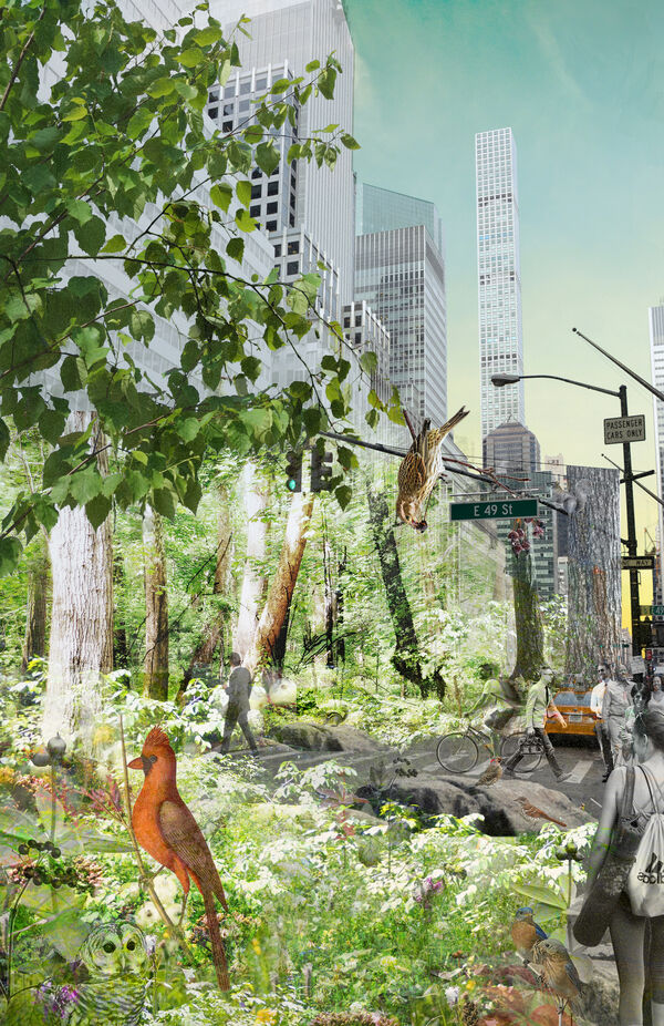 Hassell | Cities - Our city-shaping urban design projects and people ...