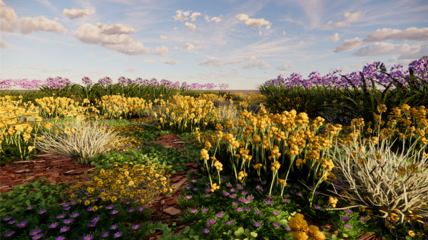 Hassell | Sowing virtual seeds