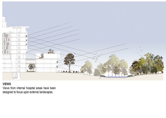 Hassell | Fiona Stanley Hospital