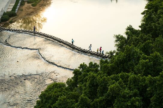Hassell | Longgang River: a blueprint for waterfront revitalisation