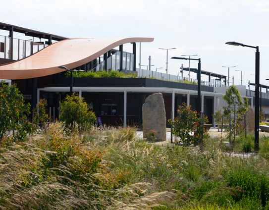 Hassell | Level Crossing Removal Project (LXRP)