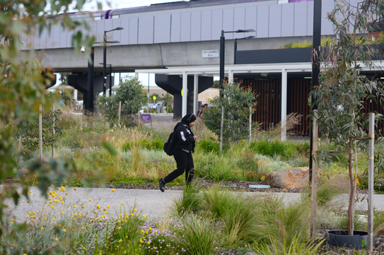Hassell | Level Crossing Removal Project (LXRP)