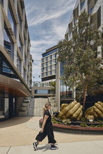 Hassell | Murdoch Square