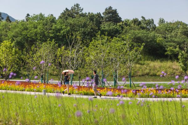 Hassell | Mooool features Nanjing Niushoushan Cultural Park