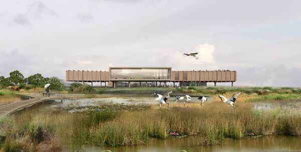 Hassell | WA Museum Boola Bardip