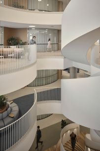 Hassell | Suncorp Headquarters