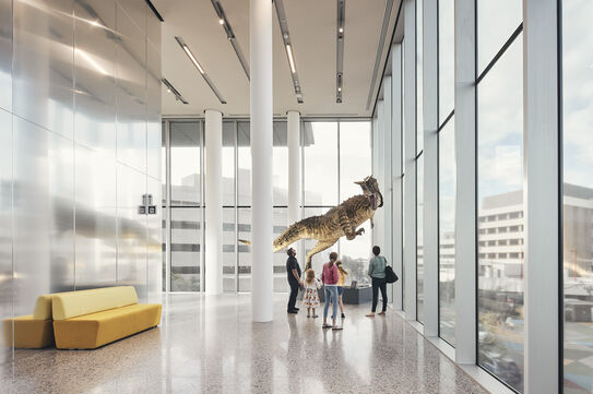 Hassell | WA Museum Boola Bardip