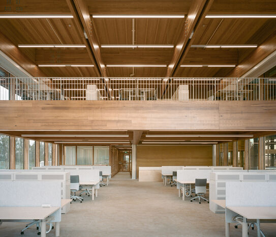 Hassell | First Building, Bradfield City Centre