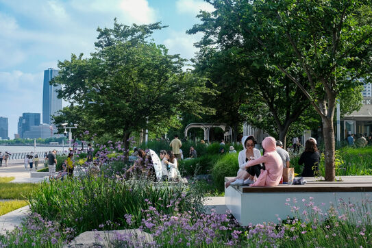 Hassell | Transforming forgotten waterfronts into vibrant public spaces